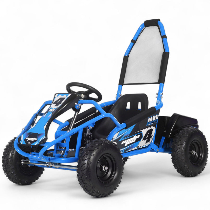 Spider 200 DLX Go-Kart | TribalMotorsports