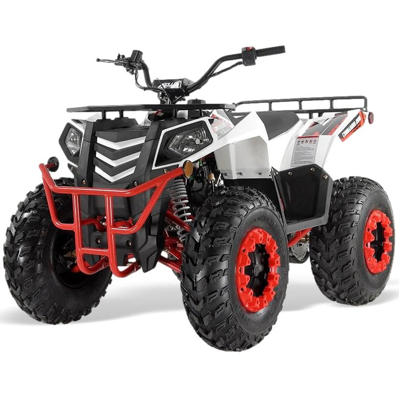 Apollo 200cc Commander Adult ATV for Sale | TribalMotorsports.com