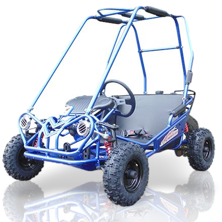 Trailmaster Mini XRS+ | 163cc Kids Go Kart | TribalMotorsports.com