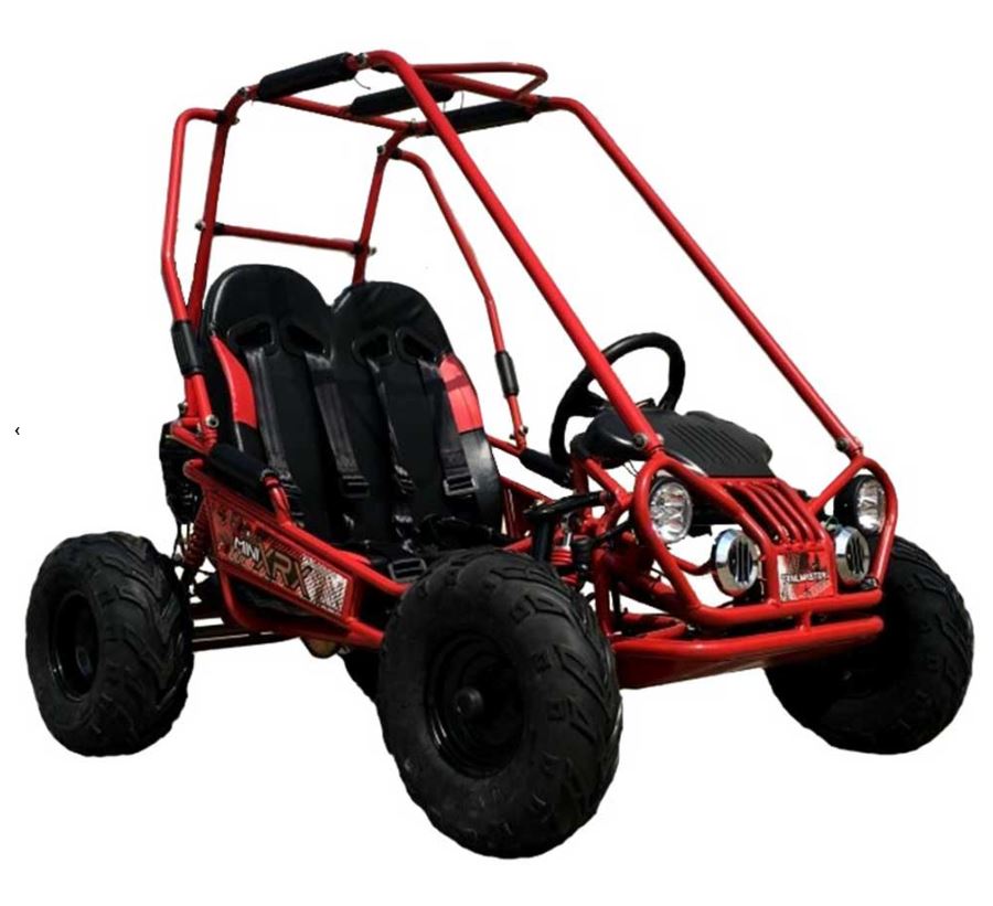 TrailMaster Mini XRX+ | 163cc Kids Go Kart | TribalMotorsports.com