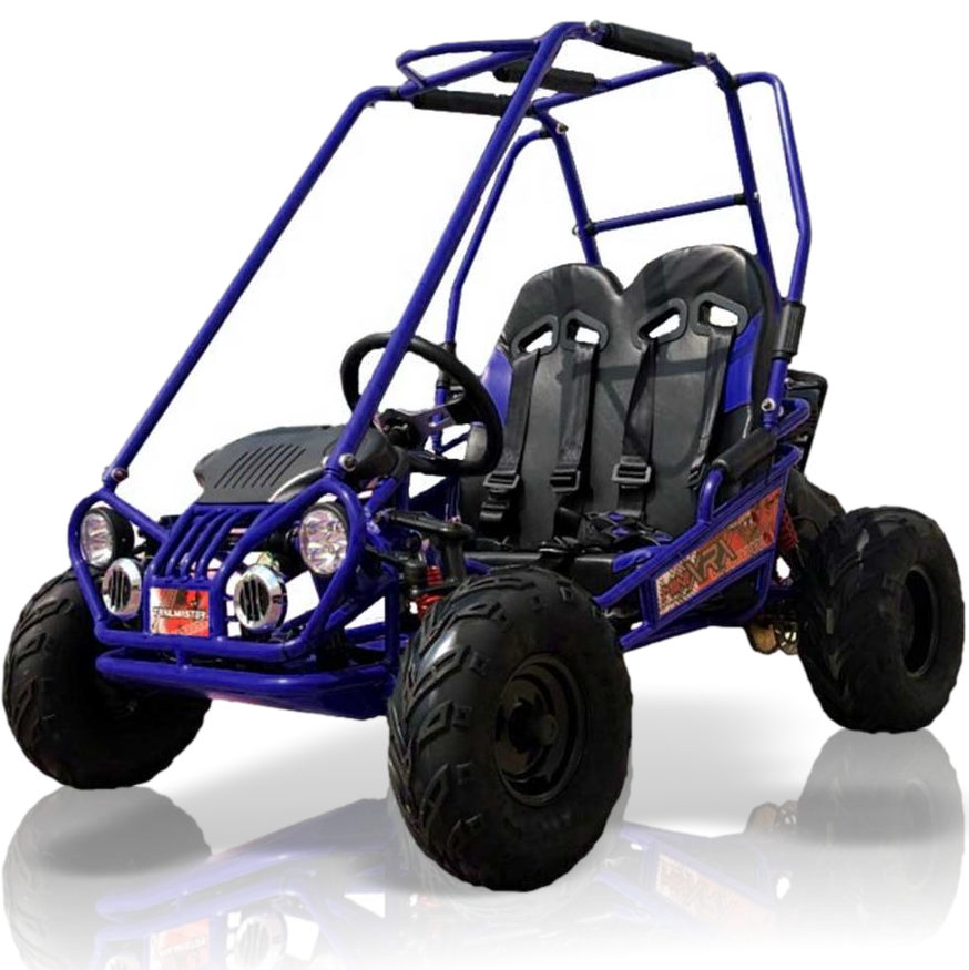 TrailMaster Mini XRX+ | 163cc Kids Go Kart | TribalMotorsports.com